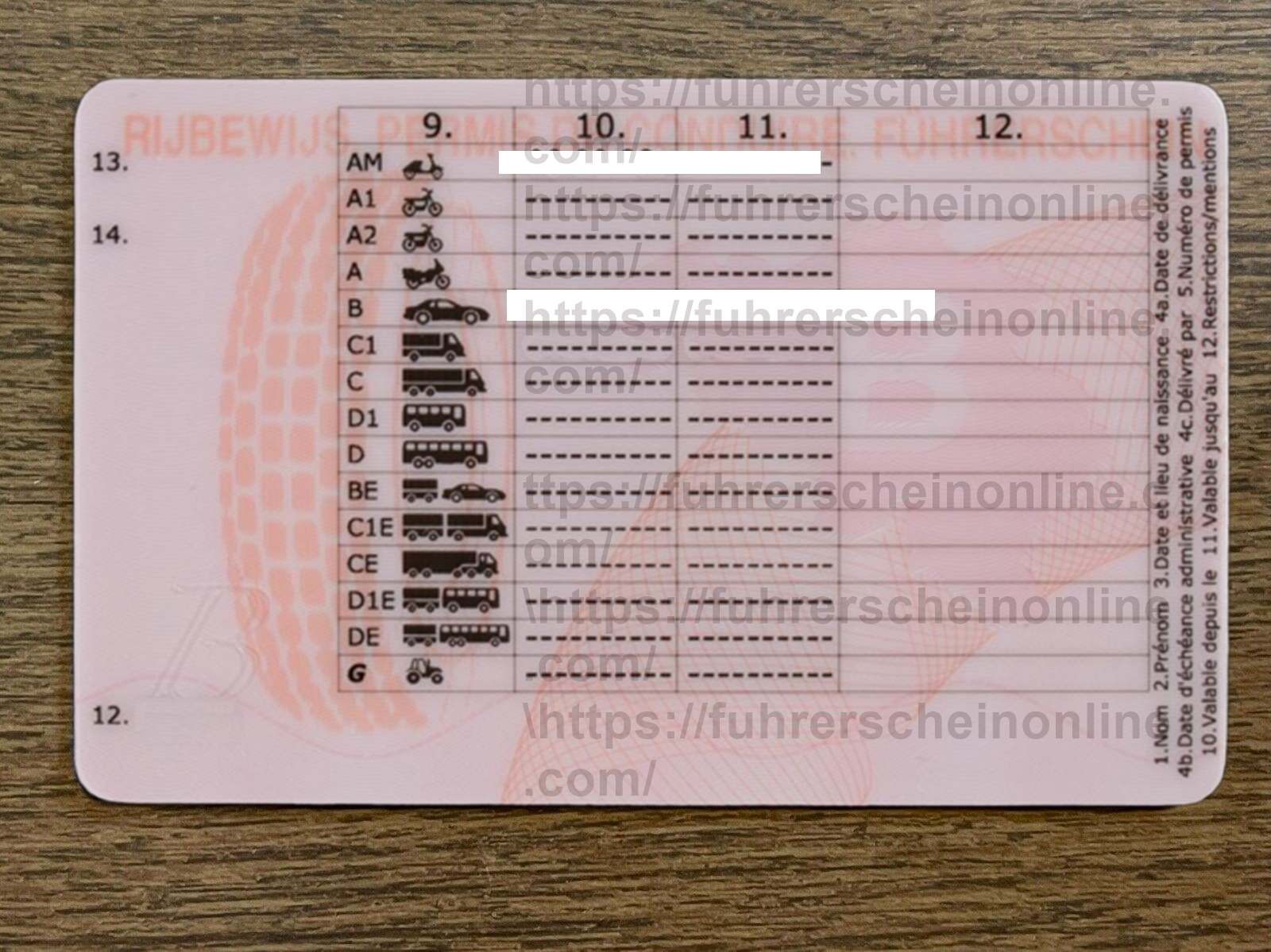 Belgian Driver’s License For Sale | Fuhrerschein