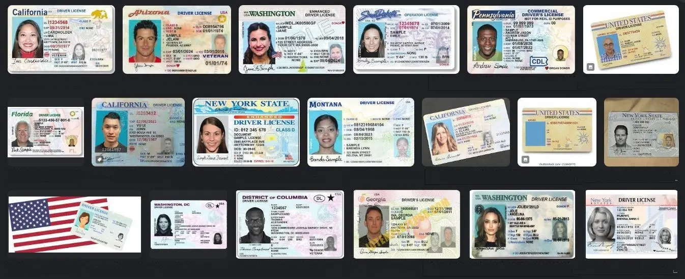 How to Safely Buy a Fake Canadian Driving License Online ...